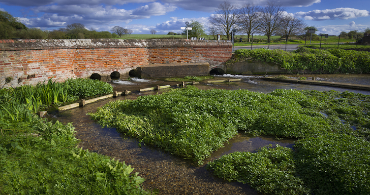 Ewelme Watercress Beds - Walks - The Foodie Travel Guide